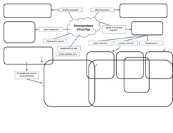 Photosynthesis mind map | Teaching Resources