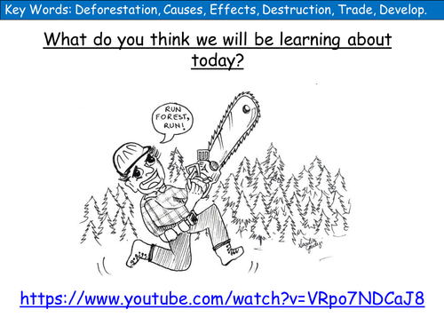 Lesson 7 Cause and Effects of Deforestation | Teaching Resources