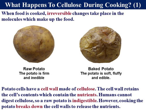 Food_3.1 The Cooking Process | Teaching Resources