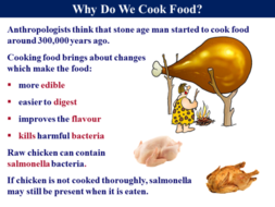 3.1 The Cooking Process | Teaching Resources