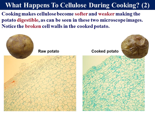 Food_3.1 The Cooking Process | Teaching Resources