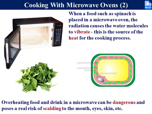Food_3.1 The Cooking Process | Teaching Resources