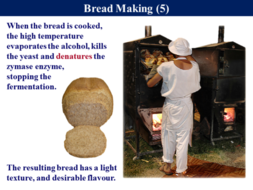 3.1 The Cooking Process | Teaching Resources