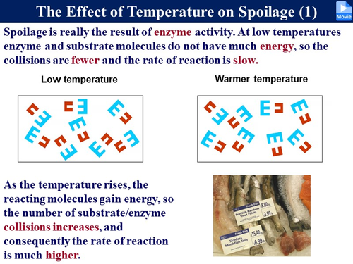 Food_3.4 Food Spoilage & Preservation | Teaching Resources