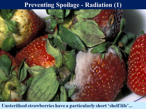 Food_3.4 Food Spoilage & Preservation | Teaching Resources