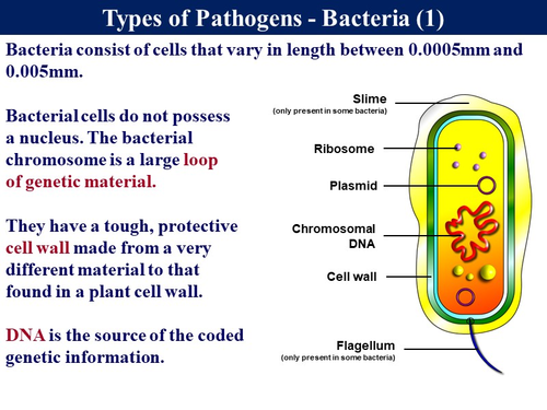 Food_3.5 Food & Disease | Teaching Resources