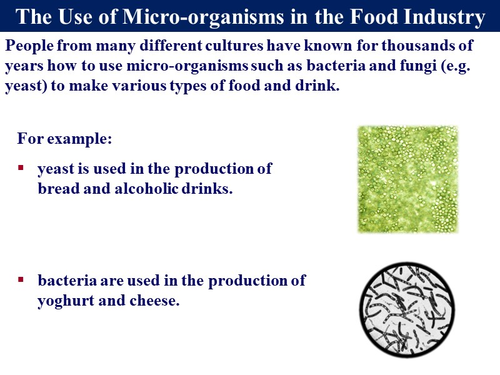 Food_4.1 Microbial Products - Food & Drink | Teaching Resources