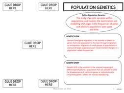 Evolution and Population Genetics Big Bundle: 2 Ppts and 2 Graphic ...