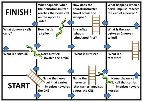 AQA GCSE Science Interactive B1 Biology Revision Activities | Teaching ...