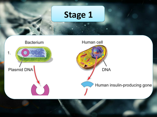 AQA GCSE Science Interactive B1 Biology Revision Activities | Teaching ...