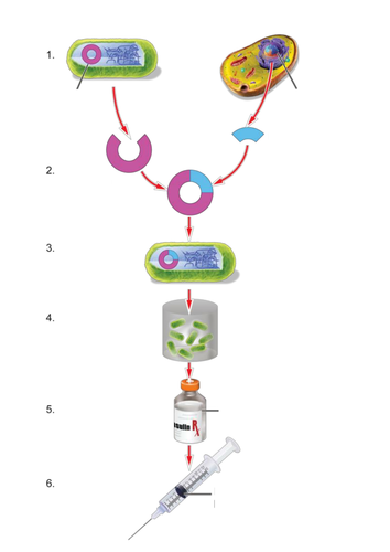 AQA GCSE Science Interactive B1 Biology Revision Activities | Teaching ...