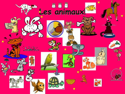 French Teaching Resources. PowerPoint Presentation: Animals/ Pets ...