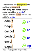Year 3 reading, understanding and spelling: polysyllabic words and ...