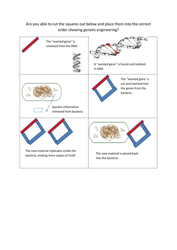 Genetic Engineering | Teaching Resources