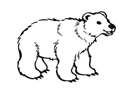 We're Going on a Bear Hunt Resource Pack | Teaching Resources