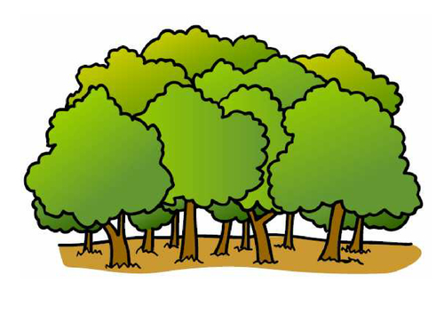 We're Going on a Bear Hunt Resource Pack | Teaching Resources