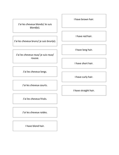 French Teaching Resources. Hair Styles & Colours PowerPoint ...