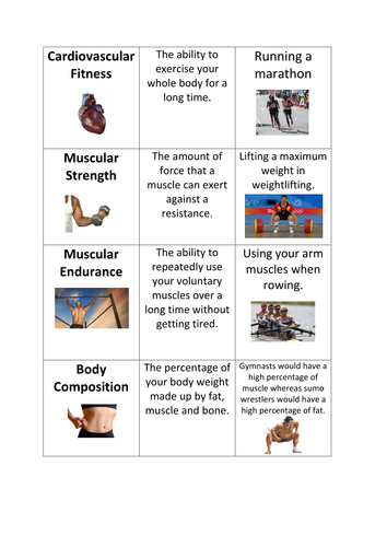 GCSE PE Components of Fitness | Teaching Resources