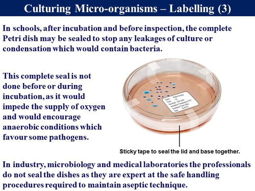 BioA_6.1.1 Culturing Microbes | Teaching Resources
