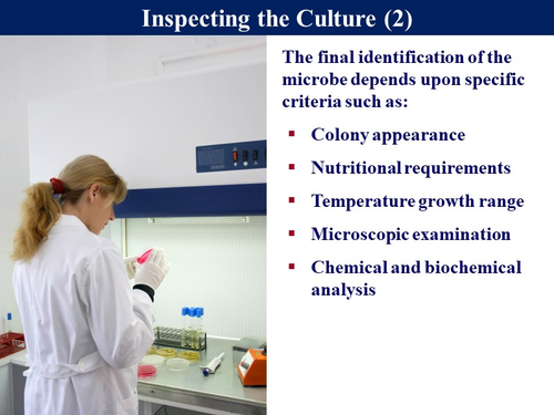 BioA_6.1.1 Culturing Microbes | Teaching Resources