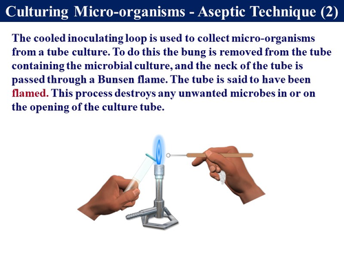 BioA_6.1.1 Culturing Microbes | Teaching Resources