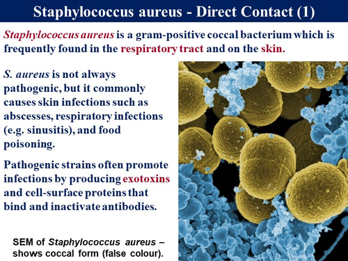 BioA_6.2 Bacteria as Pathogens - 1 | Teaching Resources