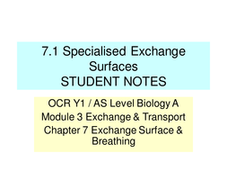 NEW OCR A Level Biology - Exchange Surfaces & Breathing | Teaching ...