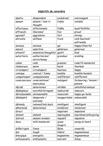 GCSE or AS FRENCH: Adjectives | Teaching Resources