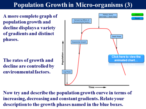 10.3.2 Population Size | Teaching Resources