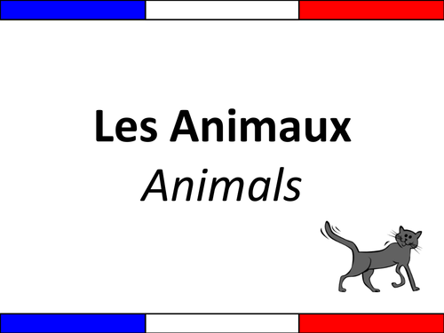 FUN Match-Up/Translate Activity - Les Animaux (Animals/Pets) - KS2 or ...