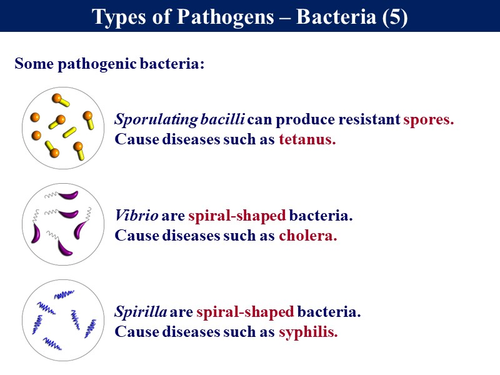 BioA_4.1.1 Pathogens & Disease - Introduction | Teaching Resources