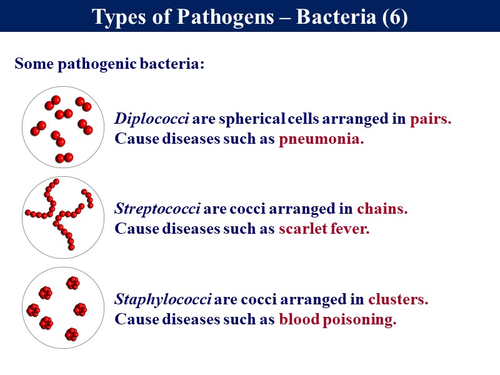 BioA_4.1.1 Pathogens & Disease - Introduction | Teaching Resources