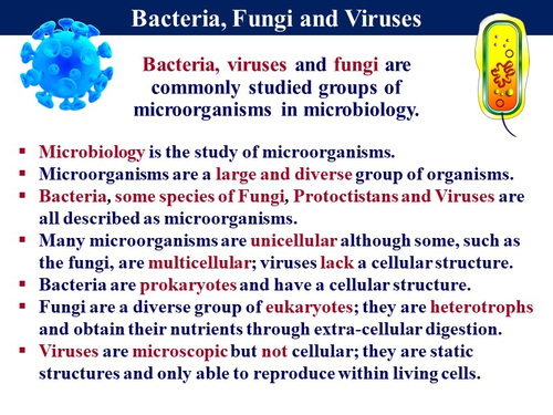 BioA_4.1.1 Pathogens & Disease - Introduction | Teaching Resources