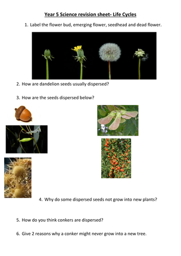 Plant and Animal Life Cycles KS2 science | Teaching Resources