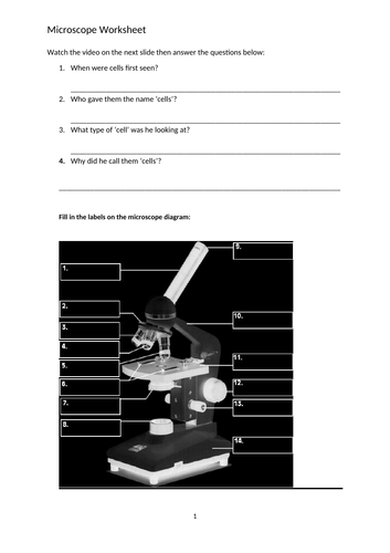 Key Stage 3_ Observing Cells complete lesson | Teaching Resources