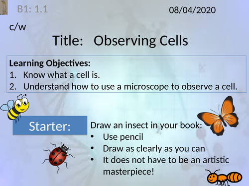 Key Stage 3_ Observing Cells complete lesson | Teaching Resources