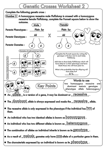 High School Biology: Inheritance and Genetic Crosses | Teaching Resources