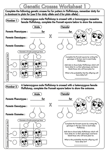 High School Biology: Inheritance and Genetic Crosses | Teaching Resources