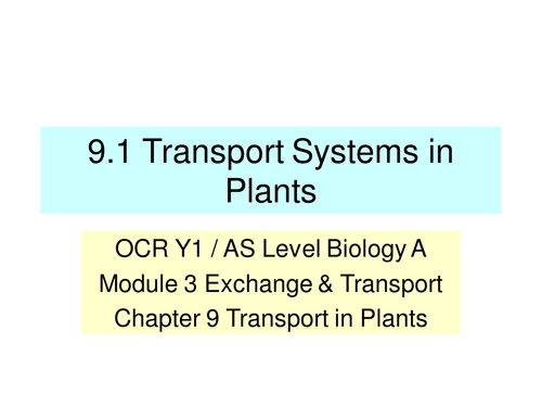NEW OCR A Level Biology - Transport in Plants | Teaching Resources