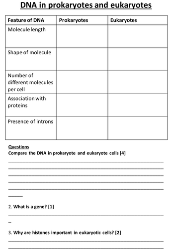 DNA Revision | Teaching Resources