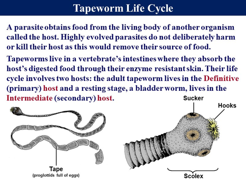 BioA_2.4.7 Parasites and Parasitism | Teaching Resources