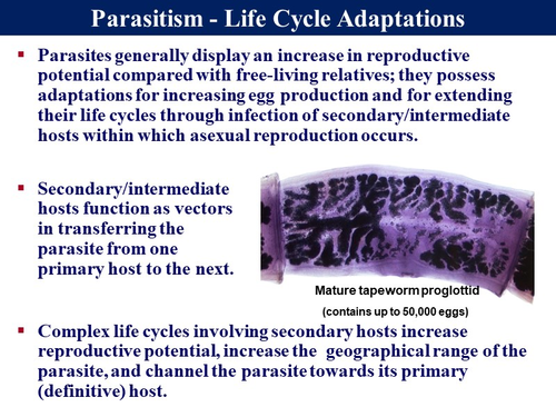 BioA_2.4.7 Parasites and Parasitism | Teaching Resources