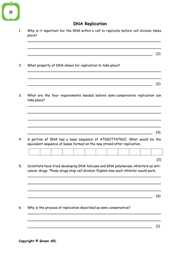 A level Biology revision (year 1) | Teaching Resources