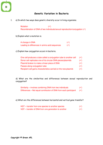 A level Biology revision (year 1) | Teaching Resources