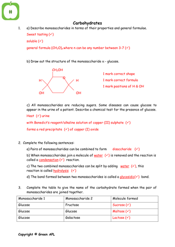 A level Biology revision (year 1) | Teaching Resources