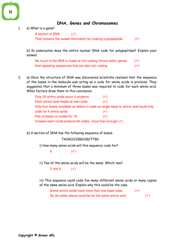 A level Biology revision (year 1) | Teaching Resources