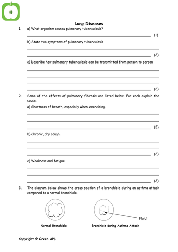 A level Biology revision (year 1) | Teaching Resources