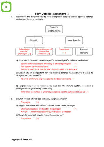 A level Biology revision (year 1) | Teaching Resources