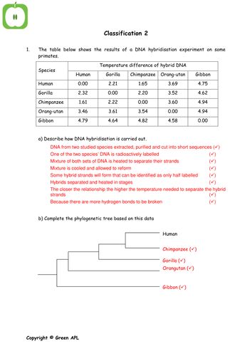 A level Biology revision (year 1) | Teaching Resources