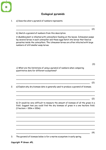A level Biology revision (year 2) | Teaching Resources